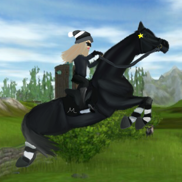 Speed Edit SSO - ibisPaint