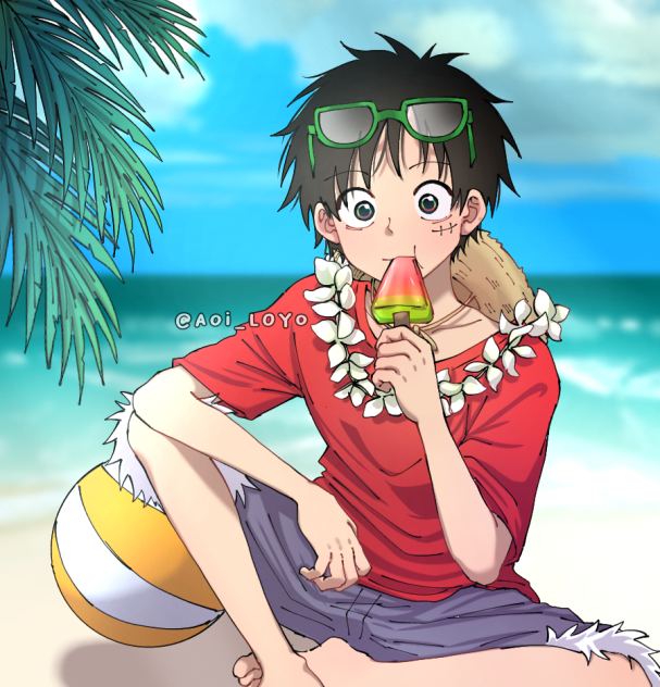 Redraw Luffy - ibisPaint