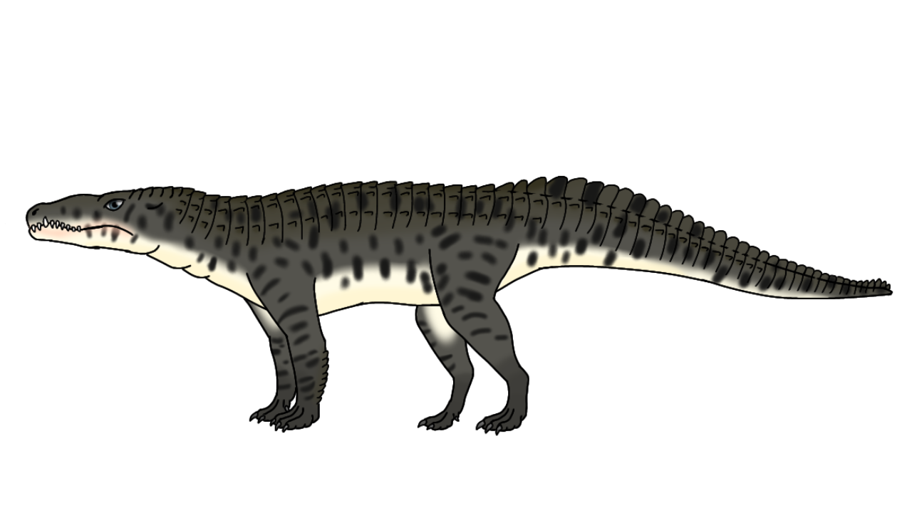 Sebecus icaeorhinus render - ibisPaint