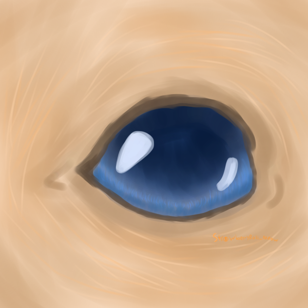Blue cats eye - ibisPaint