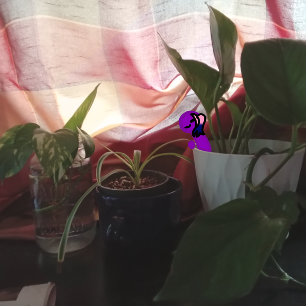 plant collab - ibisPaint