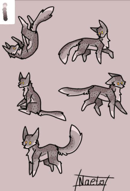 kitty OC base - ibisPaint