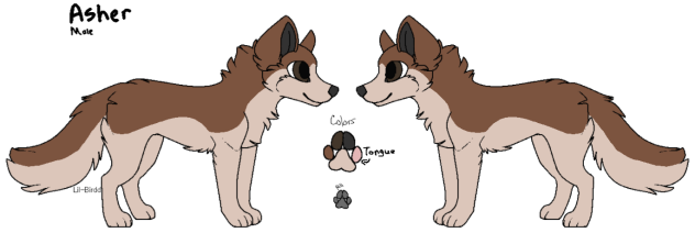 Asher Reference - ibisPaint