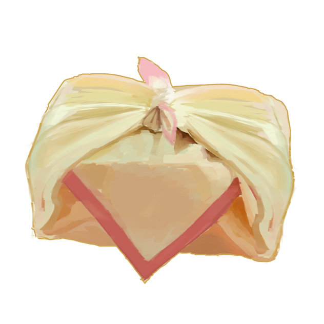 wrapped bento box - ibisPaint