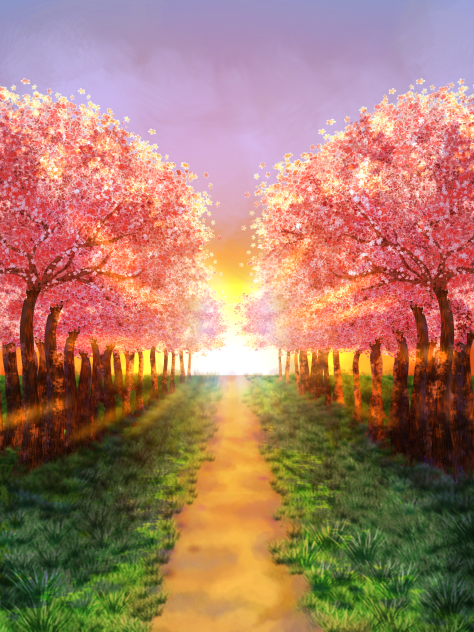 Cherry trees at the sunset - ibisPaint