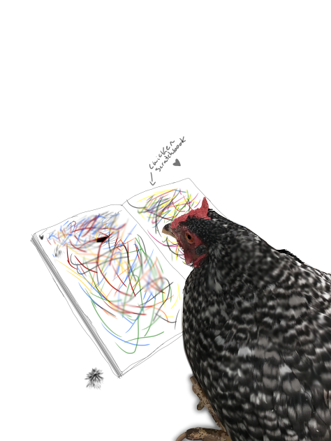 Lilly The Chicken - ibisPaint