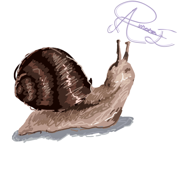 snail 🐌 - ibisPaint