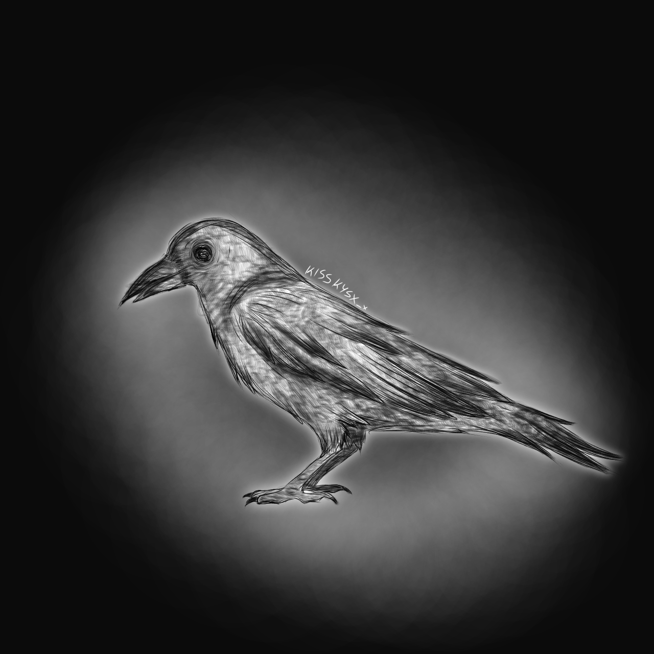 nightmare crow - ibisPaint