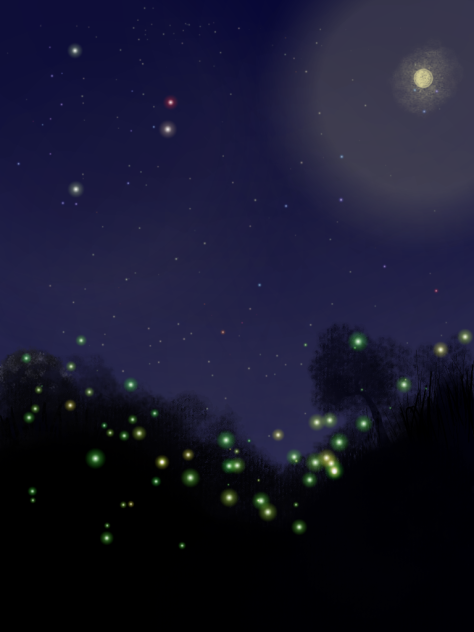 Fireflies - ibisPaint