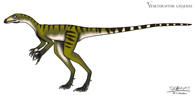 Venetoraptor gassenae - ibisPaint