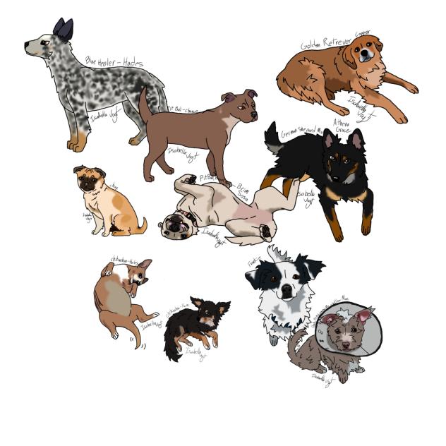 Doggo Doodles 2 - ibisPaint