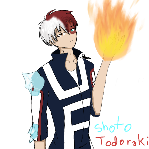 Shoto Todoroki - ibisPaint