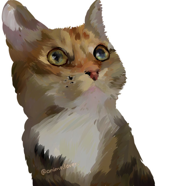 cat - ibisPaint