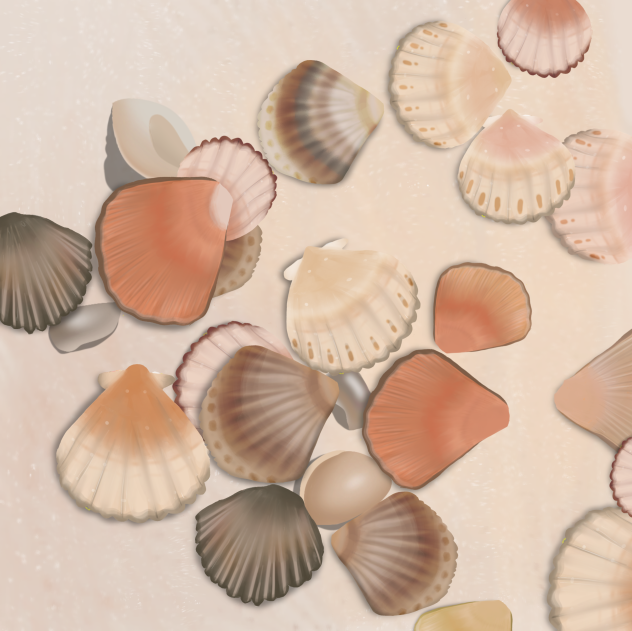 Seashells and sand summer background. - ibisPaint