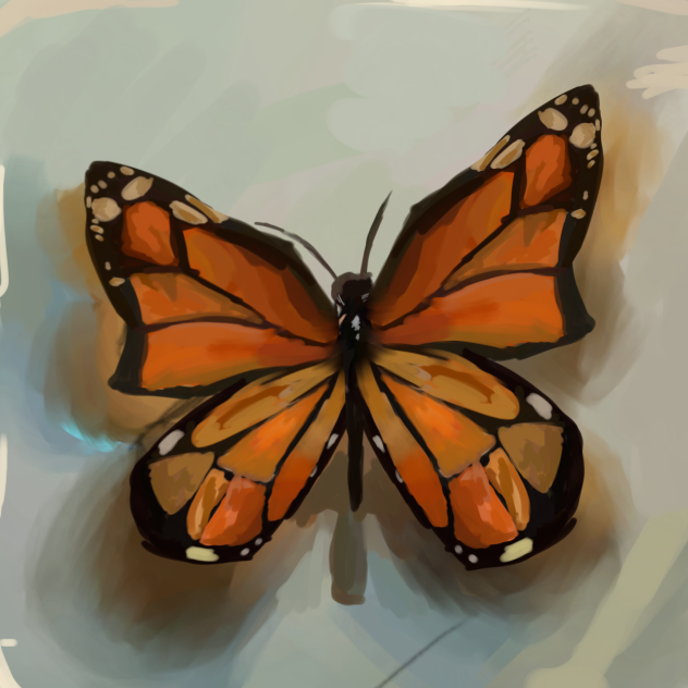 butterfly - ibisPaint