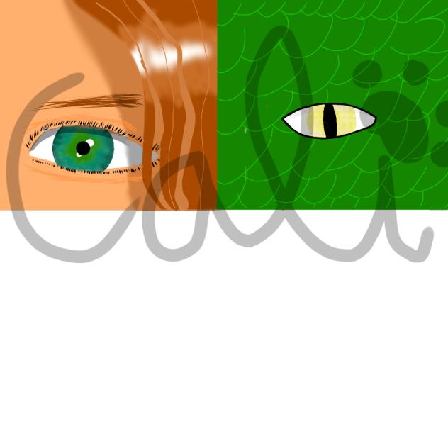 Idk lol - ibisPaint