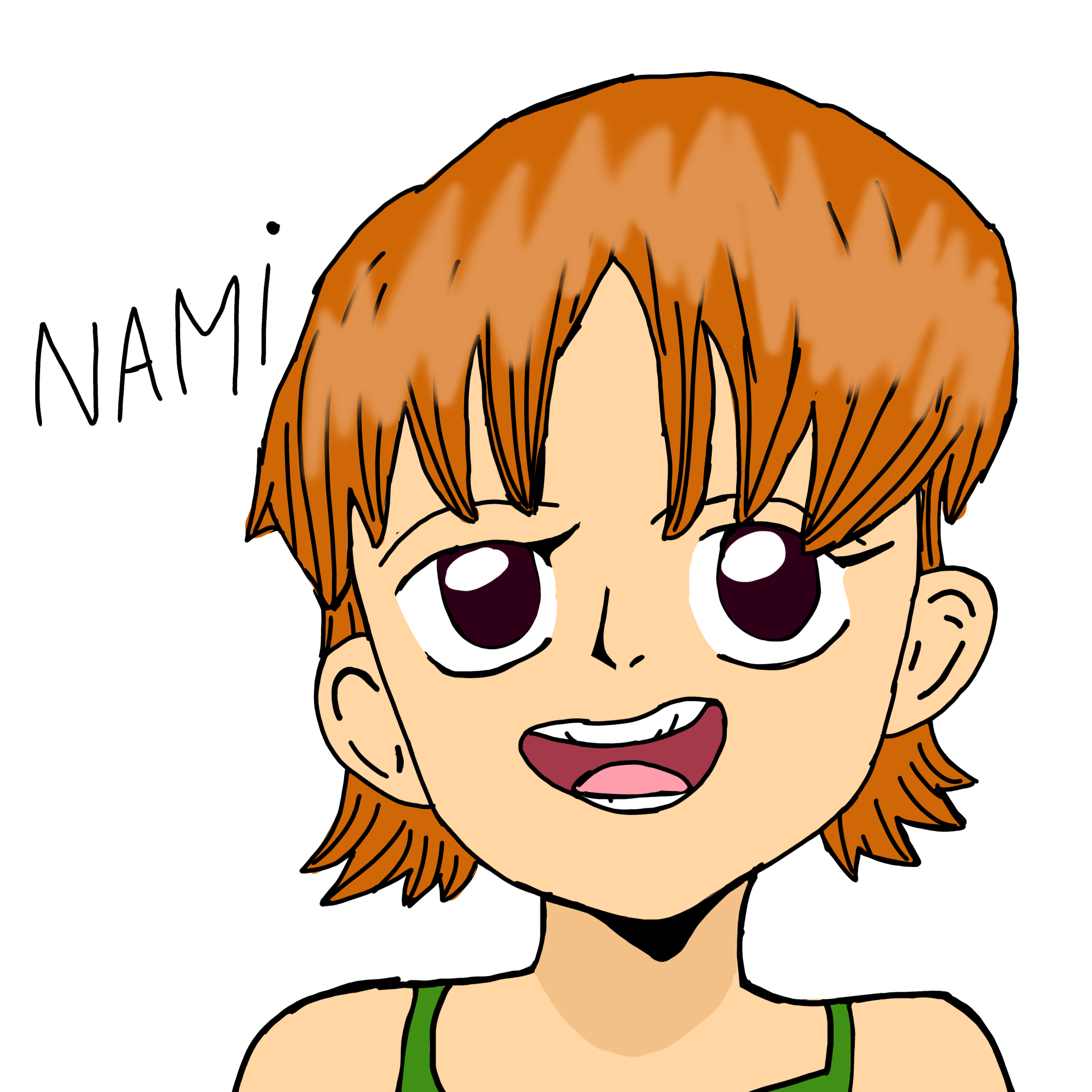 One Piece Nami🧡🍊 - ibisPaint