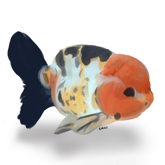 fish ok (wip) - ibisPaint