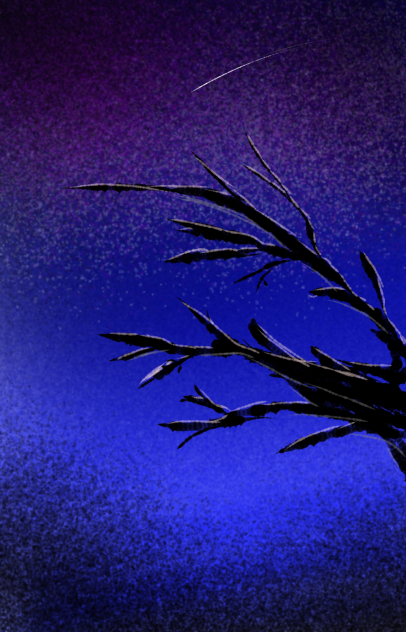 branches - ibisPaint