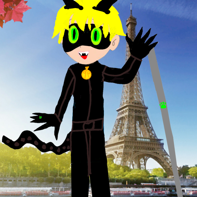 Chat 🐈 Noir - ibisPaint