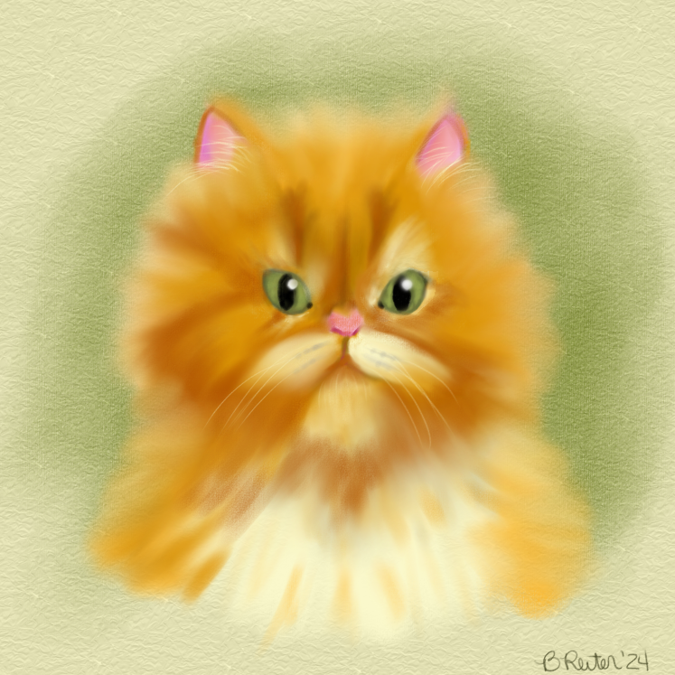 Fluffy cat - ibisPaint