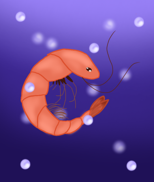 Shrimpy - ibisPaint