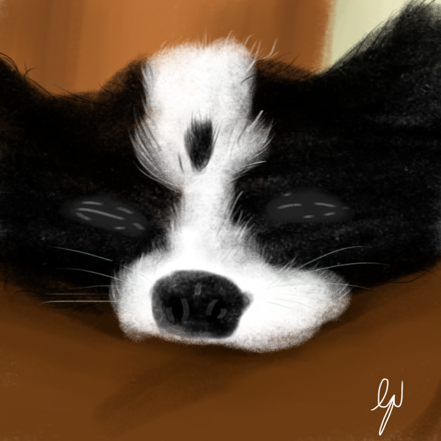 Namu aka my dog - ibisPaint