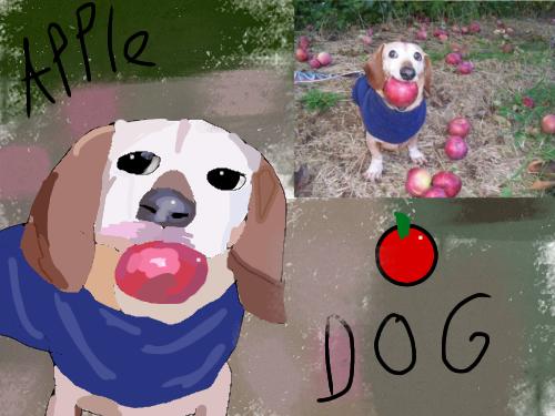 Apple dog - ibisPaint