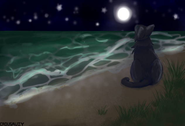 Moonlit beach - ibisPaint