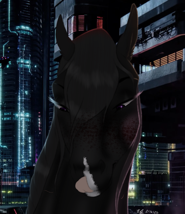 ~ Valkyrie ~ - ibisPaint