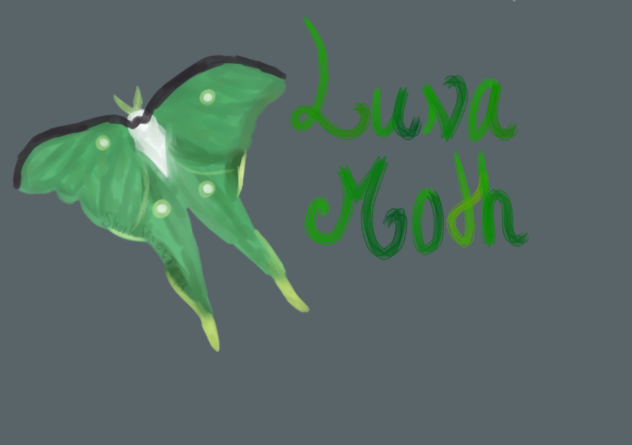^ Luna Moth ^ - ibisPaint