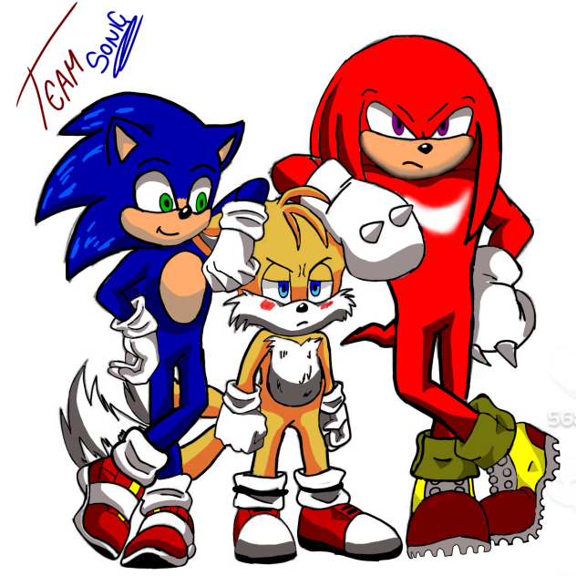 TEAM SONIC - ibisPaint