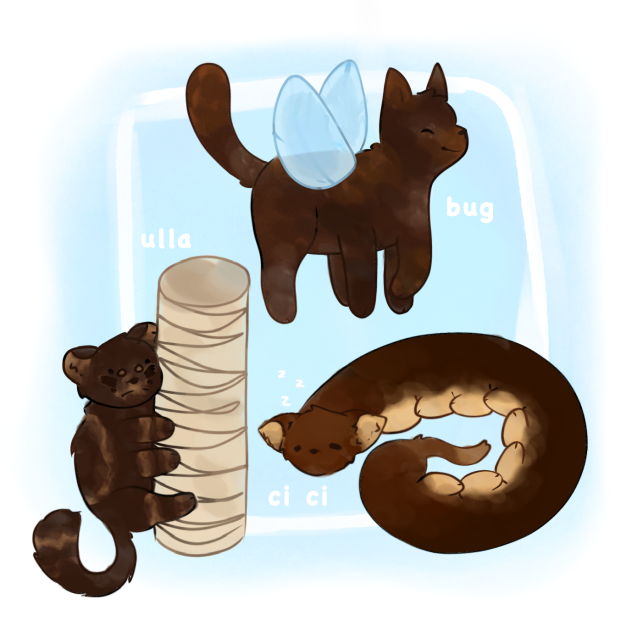 insect cats!! - ibisPaint