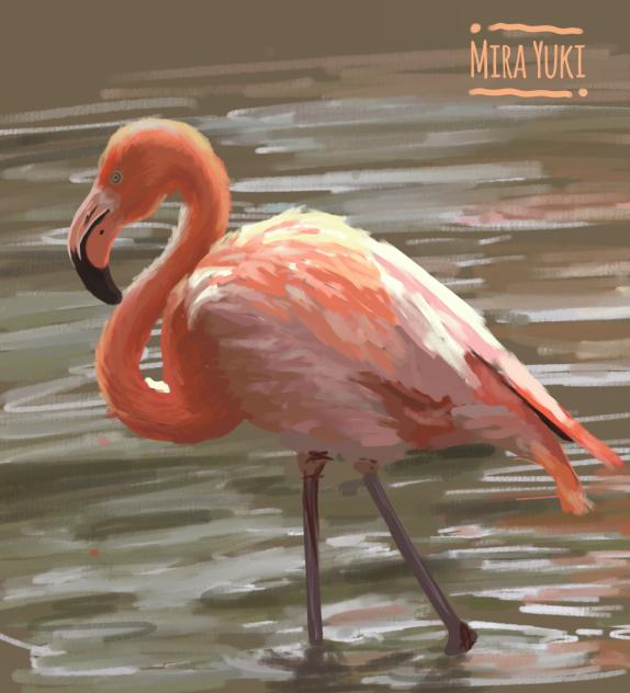 Flamingo (Request Viewer) - ibisPaint