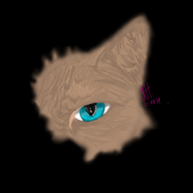 Realistic Cat Eye - ibisPaint