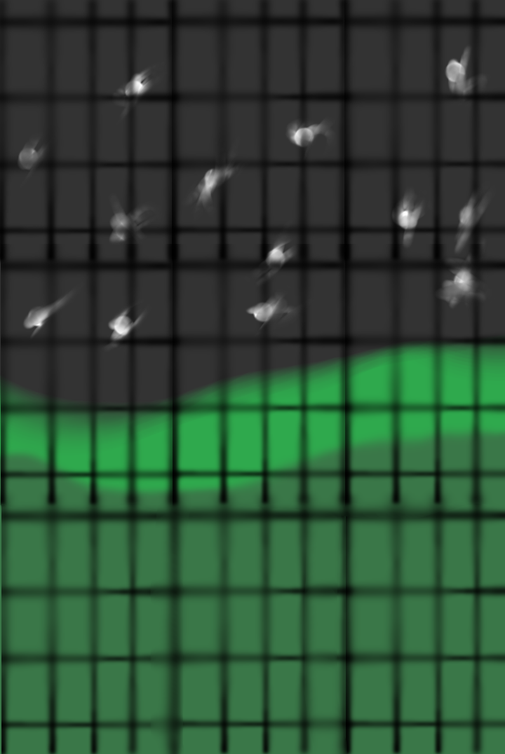 Starry NightAt The Prison - ibisPaint