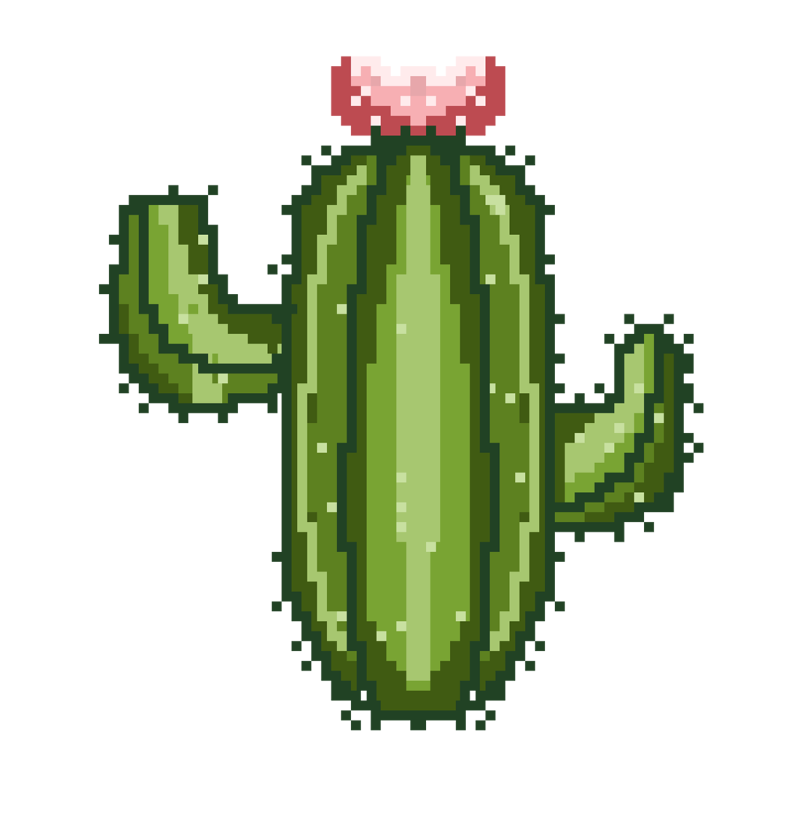Cactus pixel 4 - ibisPaint