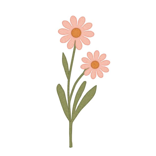 Pink Daisy stamp - ibisPaint