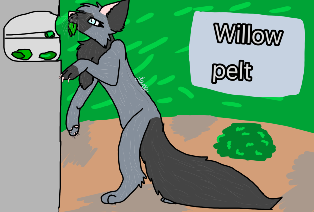 ref. willow pelt - ibisPaint