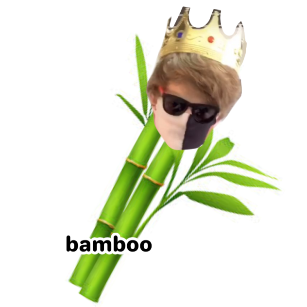 bamboo ranboo - ibisPaint