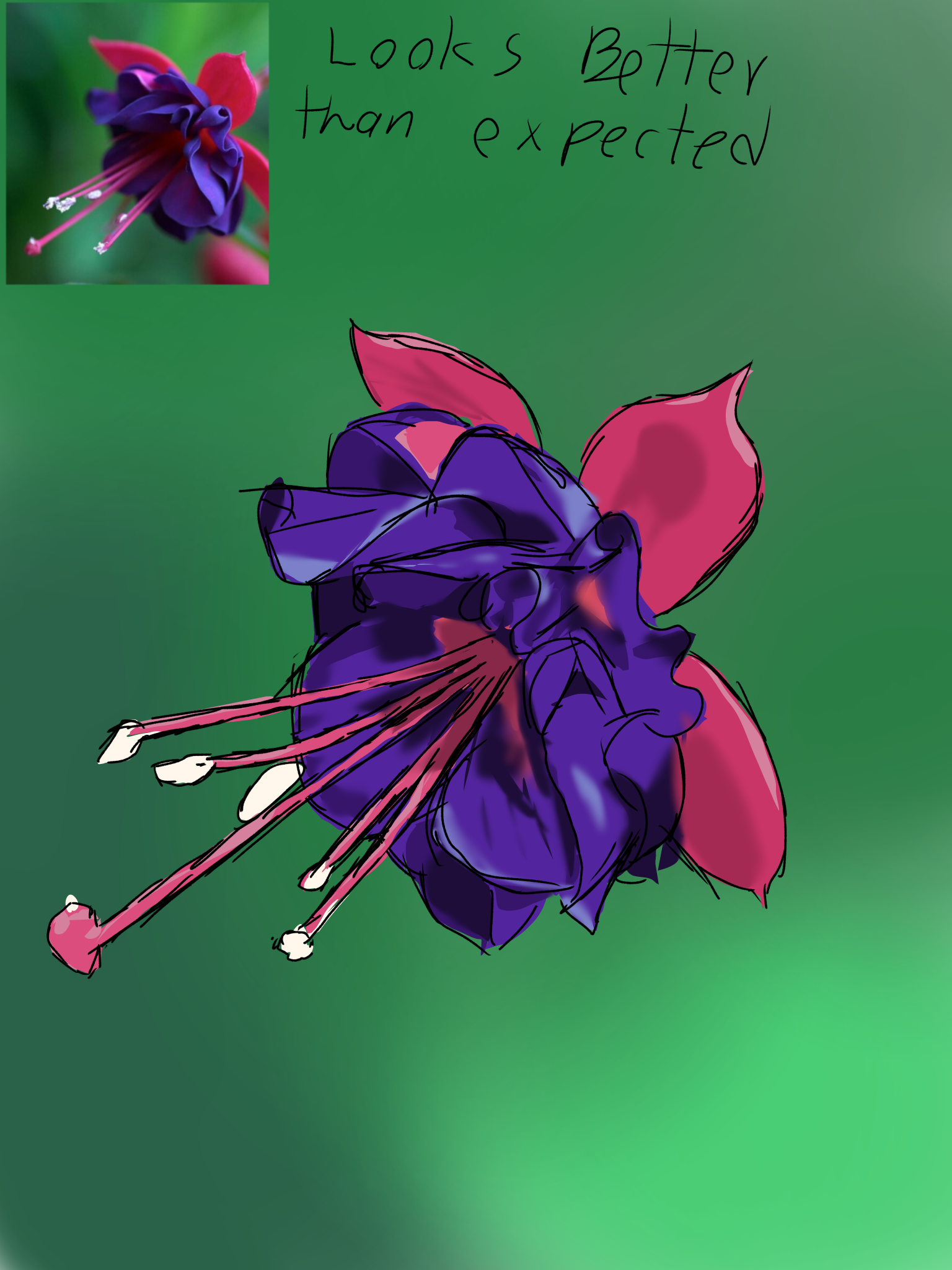 floral practice - ibisPaint