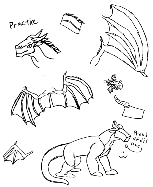 A practice of drawing mudwings from WoF! - ibisPaint