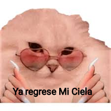 Mi Ciela - ibisPaint