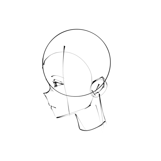 profile view practice - ibisPaint