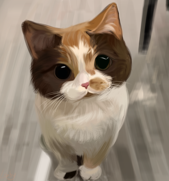 Meow - ibisPaint