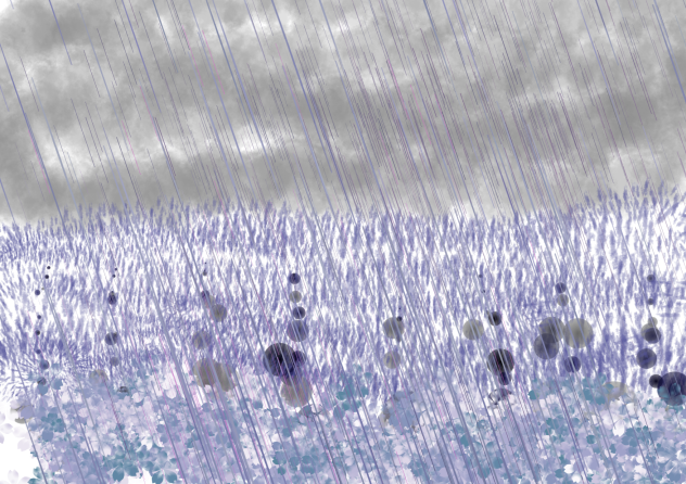 Rain - ibisPaint
