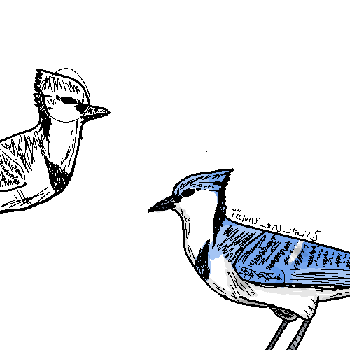 Practicing birds #2 - ibisPaint