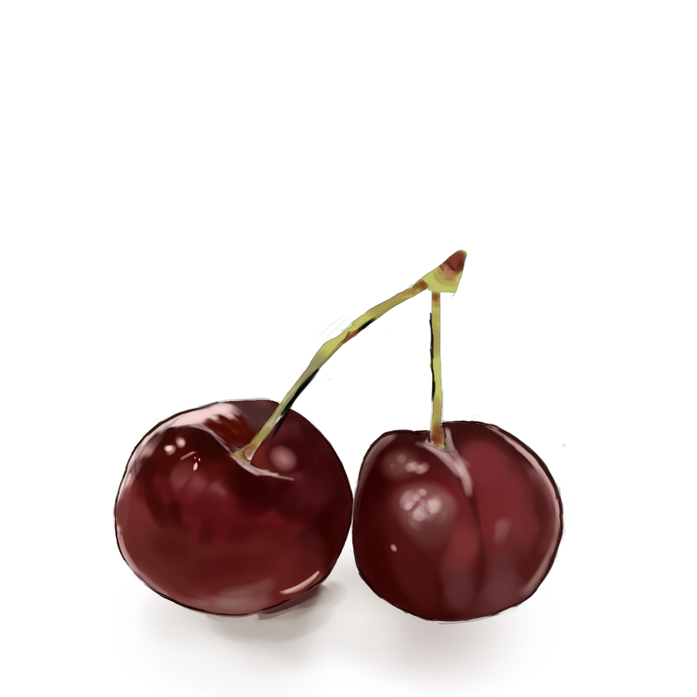 cherries - ibisPaint