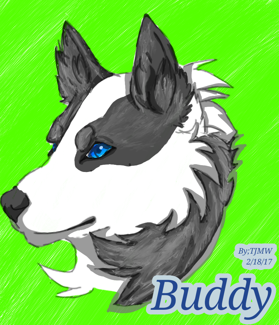 Buddy - ibisPaint