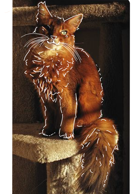 Therian pfp - ibisPaint